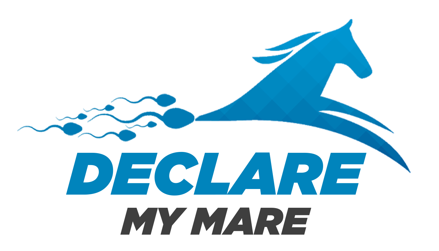 DeclareMyMare